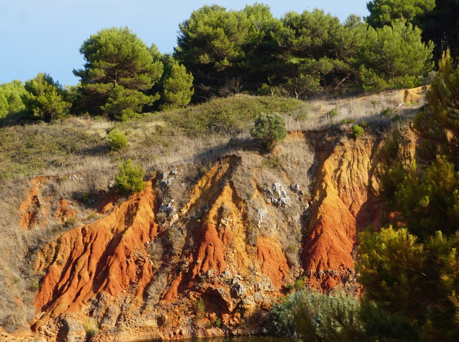 Events Calendar – British School at Athens